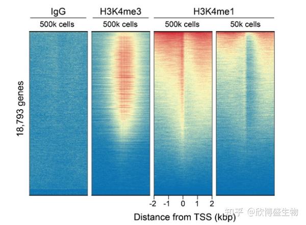 H3K4me1 Antibody—EpiCypher新品 - 知乎