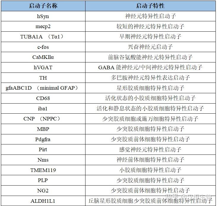 动物实验AAV感染指南——神经系统篇 - 知乎