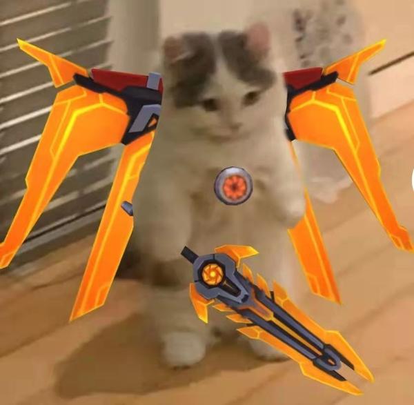 英雄联盟猫猫表情包集合（第一期） - 知乎