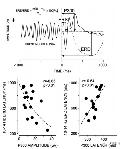 经典再读 | P3a与P3b的整合理论 - 知乎