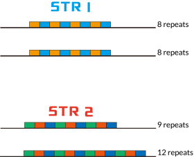 修饰引物/探针系列详解-STR探针 - 知乎