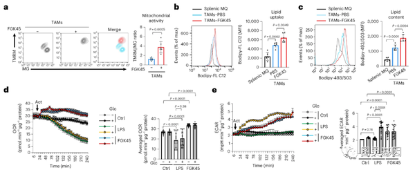 Nat Immu | CD40信号通过代谢重编程刺激巨噬细胞的抗肿瘤效应 - 知乎