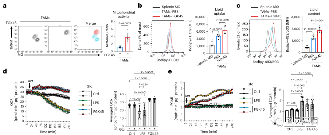 Nat Immu | CD40信号通过代谢重编程刺激巨噬细胞的抗肿瘤效应 - 知乎