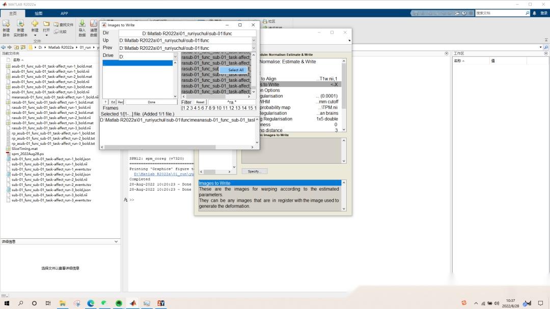 如何用SPM完成fMRI数据的预处理【任务态】 - 知乎