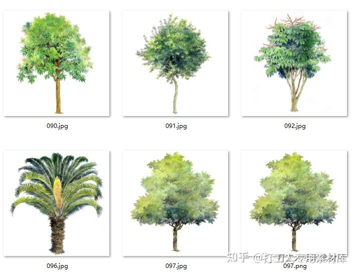 270款超棒的网红小清新手绘风and写实风立面树素材（1.2G） - 知乎