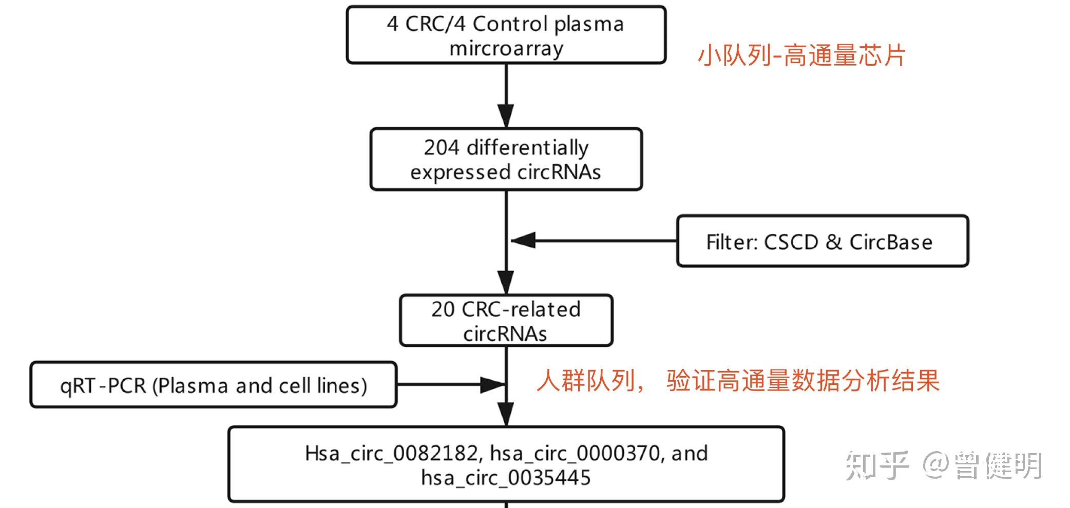 Circrna芯片分析的一般流程 知乎 