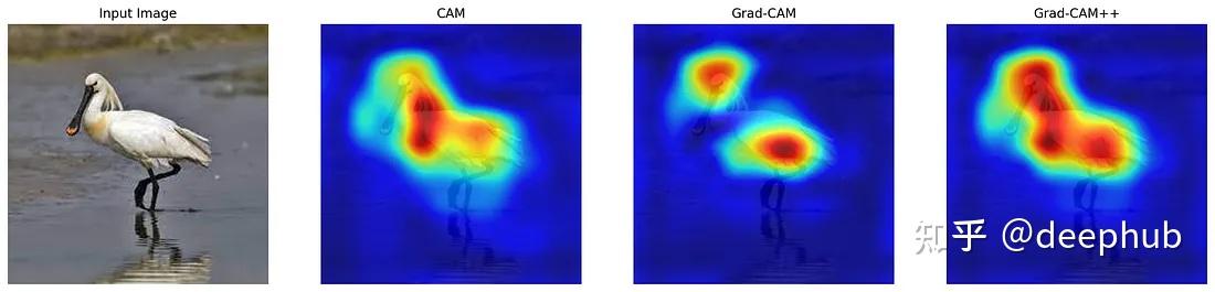 CAM, Grad-CAM, Grad-CAM++可视化CNN方式的代码实现和对比 - 知乎
