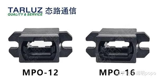 态路小课堂丨MPO/MTP-16光纤跳线 - 知乎