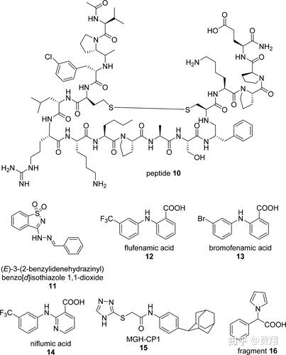 【JMC】TEAD靶点综述 - 知乎