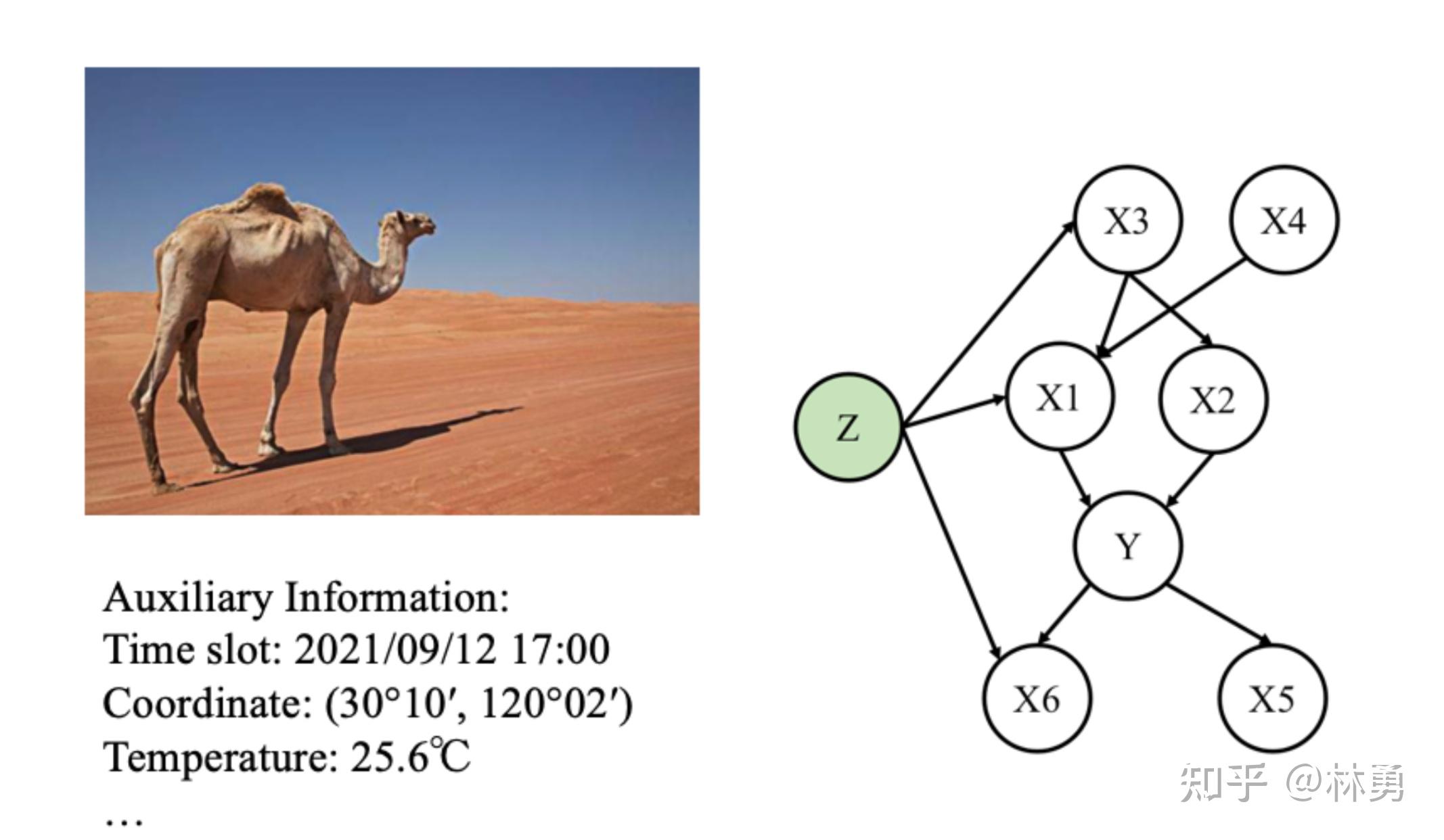 Invariant Risk Minimization (IRM)的前世，今生，和未来探讨 - 知乎