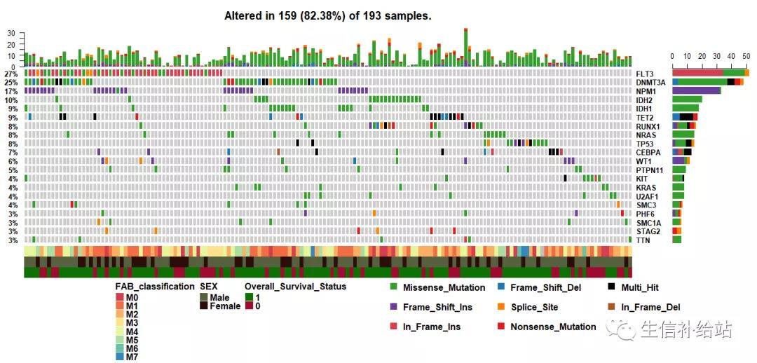 maftools | 从头开始绘制发表级oncoplot（瀑布图） - 知乎