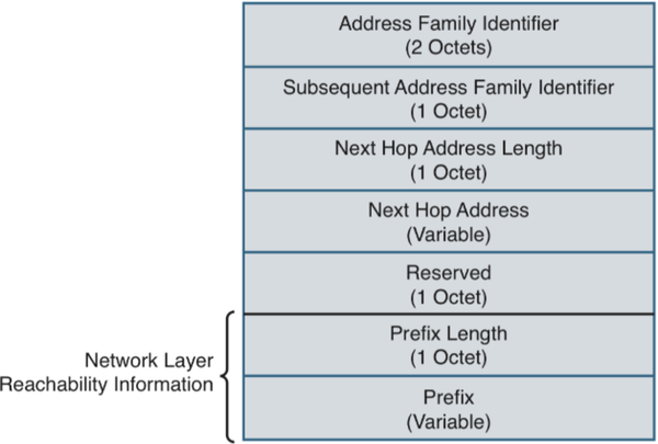 Multiprotocol Extensions to BGP - 知乎