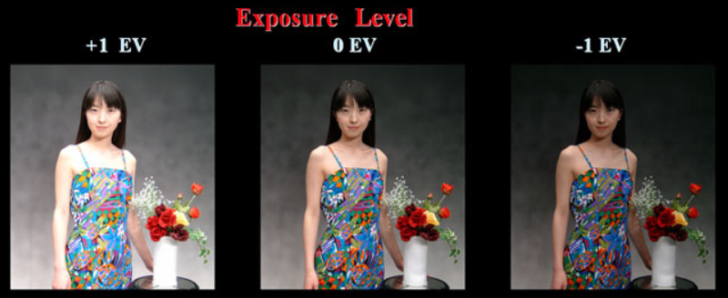 Understanding Auto Exposure Control - 知乎