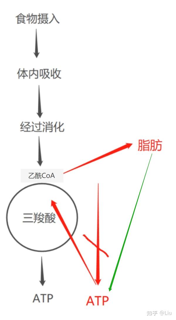 什么是ATP - 知乎