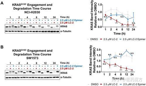 姜标点评 | 靶向KRAS，PROTAC来了 - 知乎