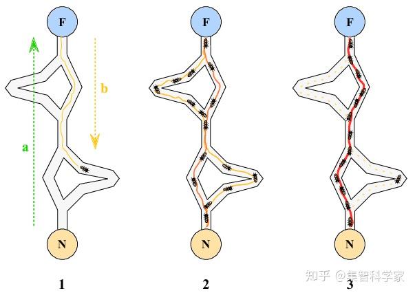 蚁群算法 集智百科 知乎