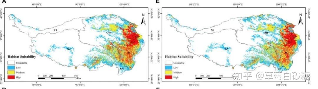 火爆近几年的MaxEnt物种分布模型如何制作 - 知乎