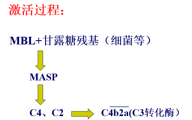 免疫学整理--细胞因子&补体系统 - 知乎
