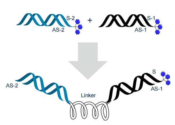 RNAi疗法领航者：Alnylam！目标成为TOP5 Biotech - 知乎