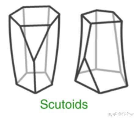 科学家发现了新的三维几何形状——Scutoid - 知乎
