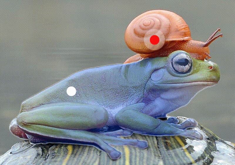 一切都可以进行分割：Segment Anything - 知乎