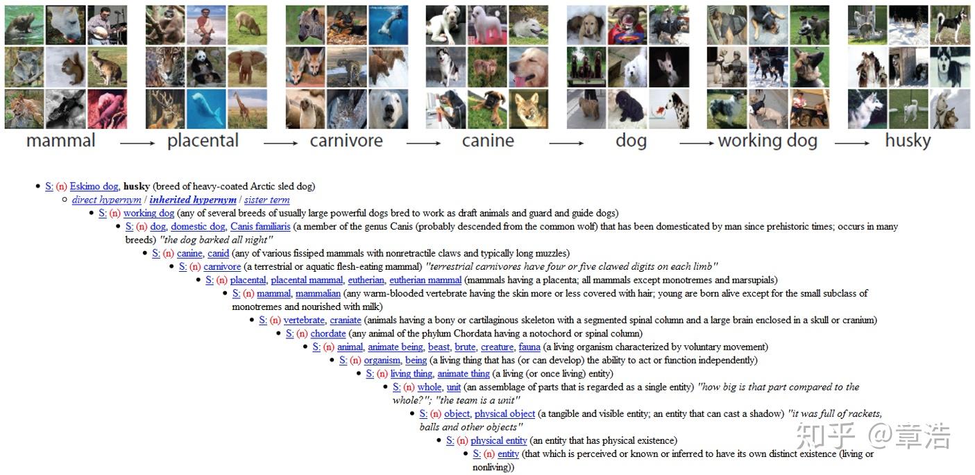 [核心-数据集分析-ImageNet]-1 - 知乎