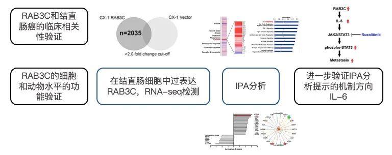 一文解锁机制研究神器——IPA分析！ - 知乎