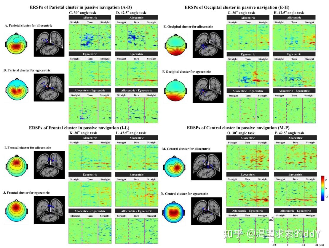 21天文献共读挑战，Day 17：Brain Dynamics of Spatial Reference Frame Proclivity ...