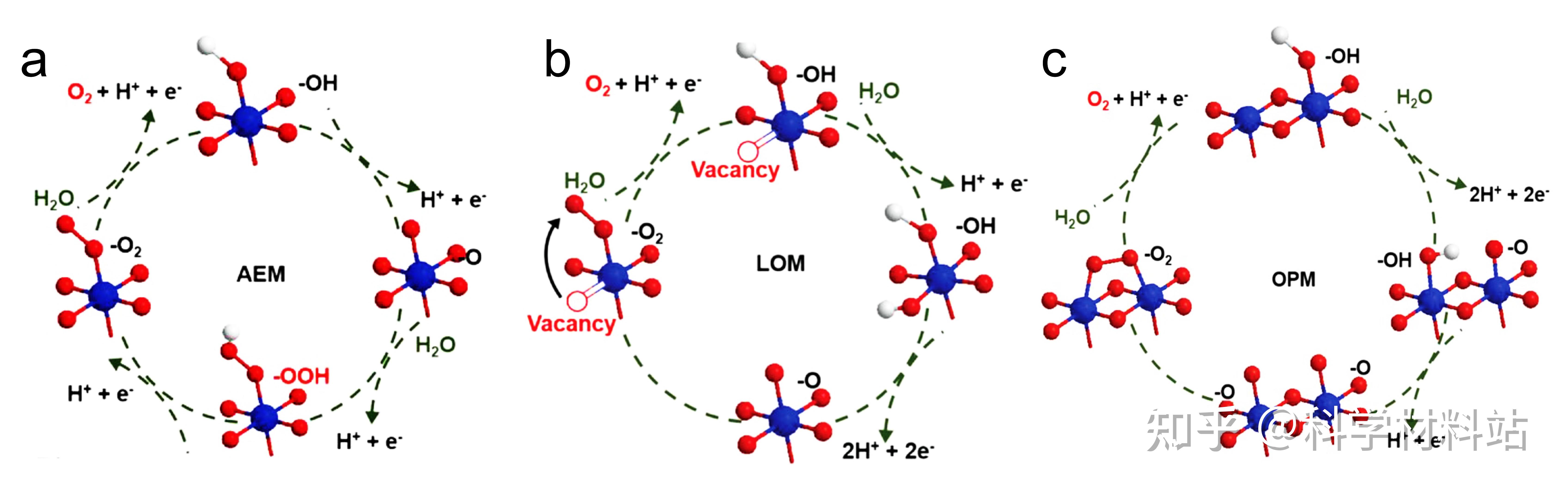 赵慎龙教授团队AFM综述：金属有机框架基酸性电解水催化剂 - 知乎