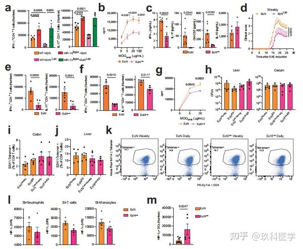 新突破 | 彻底改变慢性病治疗，这种细菌能抑制自身免疫！（Nature） - 知乎