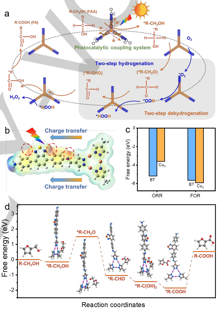 这个课题组太猛了！组建不到两年，一个月3篇Angew、1篇JACS！ - 知乎