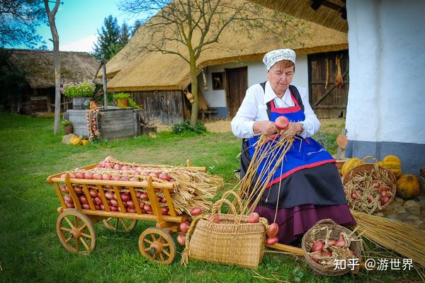 盘点斯洛文尼亚最具代表性的传统美食 - 知乎