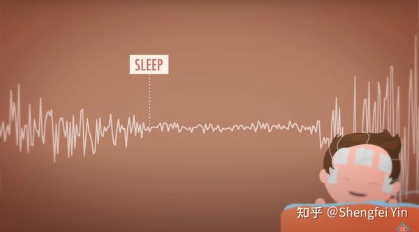 Sleep & Dreams - Crash Course Psychology #9 - 知乎