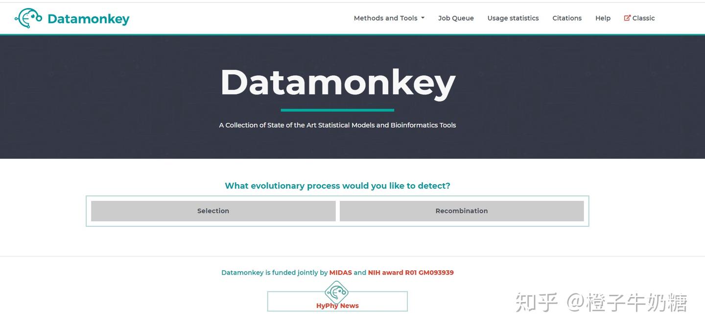 简单易懂的在线网站datamonkey：支系、基因、位点的选择压力检测 - 知乎