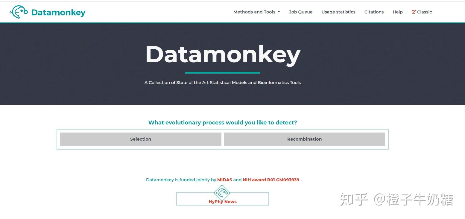 简单易懂的在线网站datamonkey：支系、基因、位点的选择压力检测 - 知乎