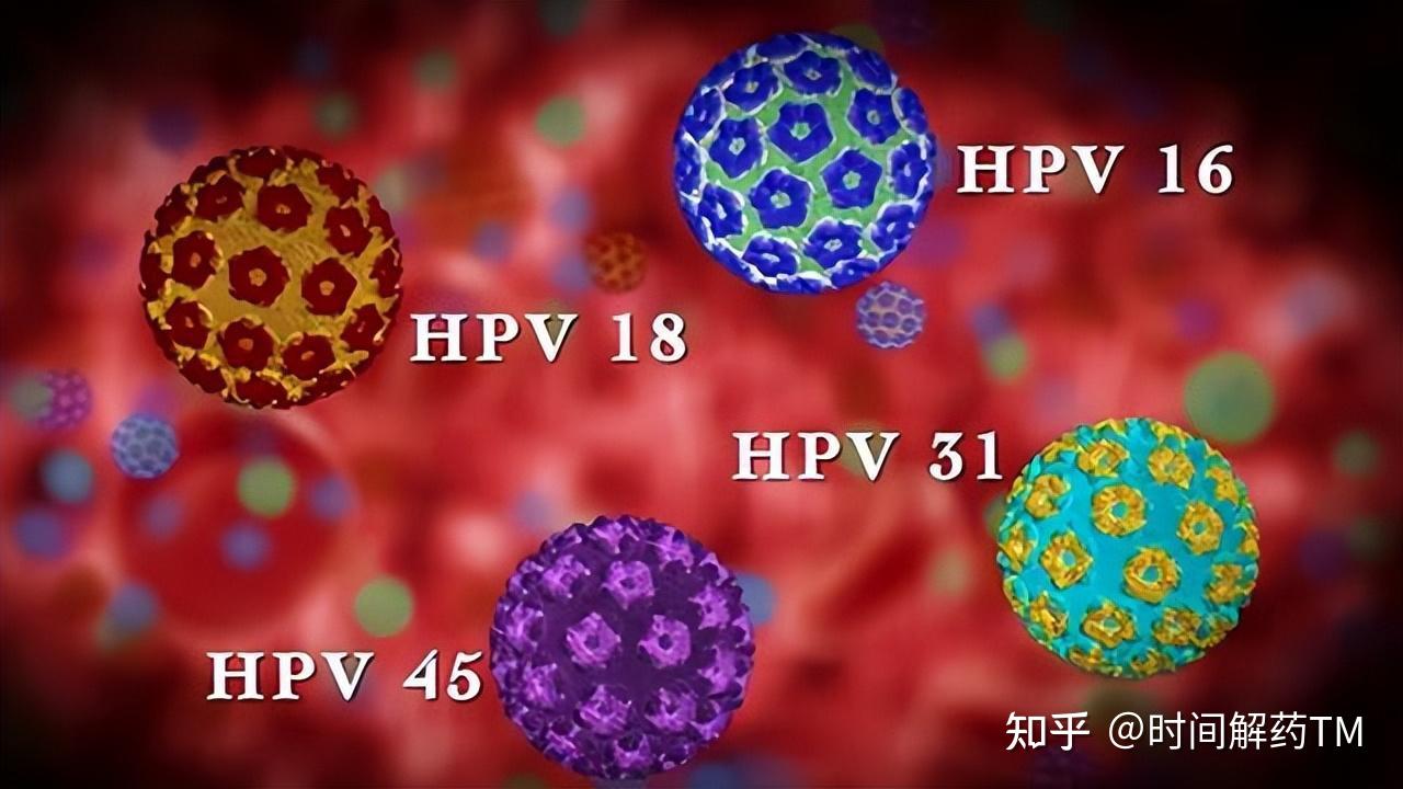 身上5种疣可能是HPV感染 怎样预防感染HPV病毒？ - 知乎