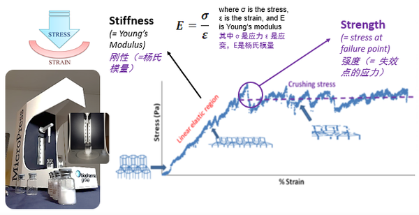 Biopharma冻干教学系列：浅谈冻干产品的机械性能分析 - 知乎