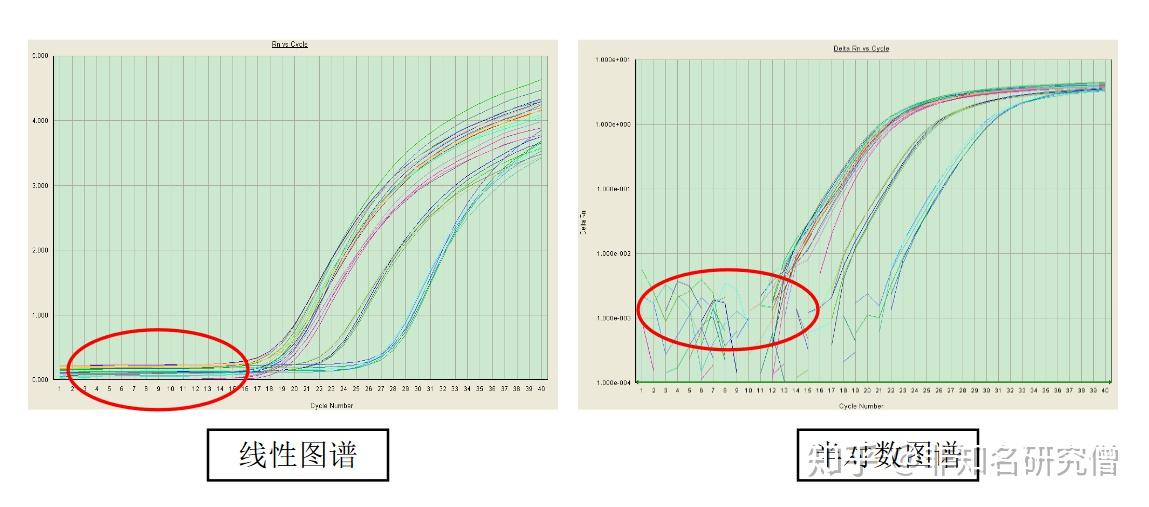 Real-Time PCR (qPCR)常见问题及解决方案 - 知乎