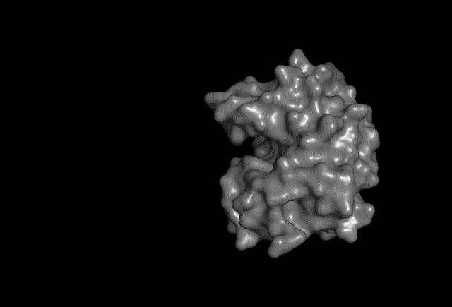 Pymol_movie - 知乎