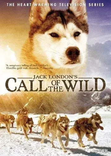 不管是否要出国，这些英文原版书孩子读了绝对受益！ - 知乎