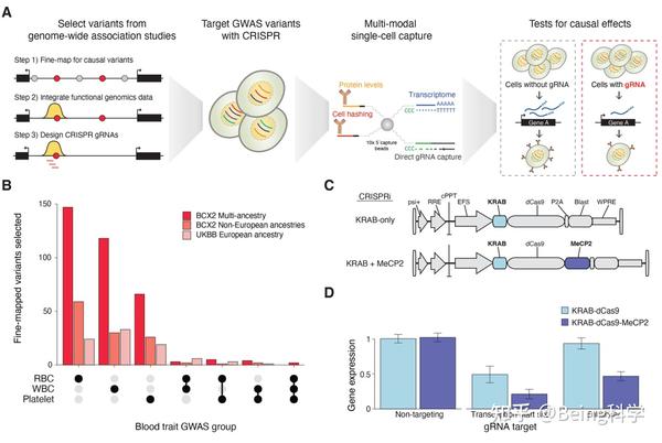 Science | 利用单细胞CRISPR筛选，发现GWAS位点的靶基因和途径！ - 知乎
