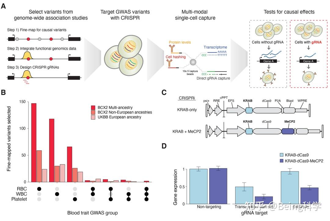 Science | 利用单细胞CRISPR筛选，发现GWAS位点的靶基因和途径！ - 知乎