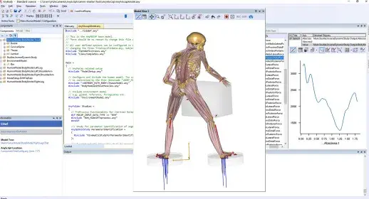【新】AnyBody人体建模仿真软件 - 知乎