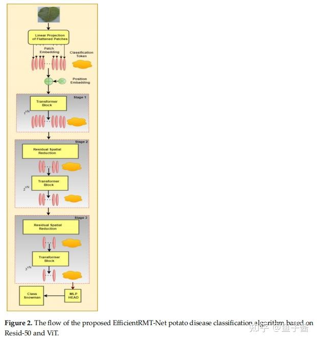 结合创新！ResNet+Transformer，高性能低参数，准确率达99.12％ - 知乎