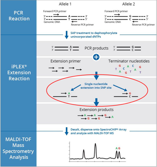 飞行时间质谱(MALDI-TOF)法，高效准确！ - 知乎