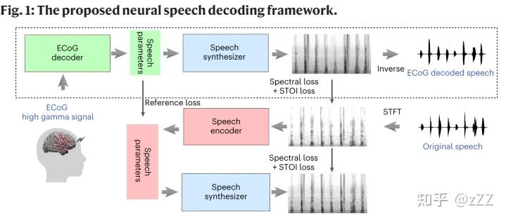 论文分享：《A neural speech decoding framework leveraging deep learning and speech synthesis》 - 知乎