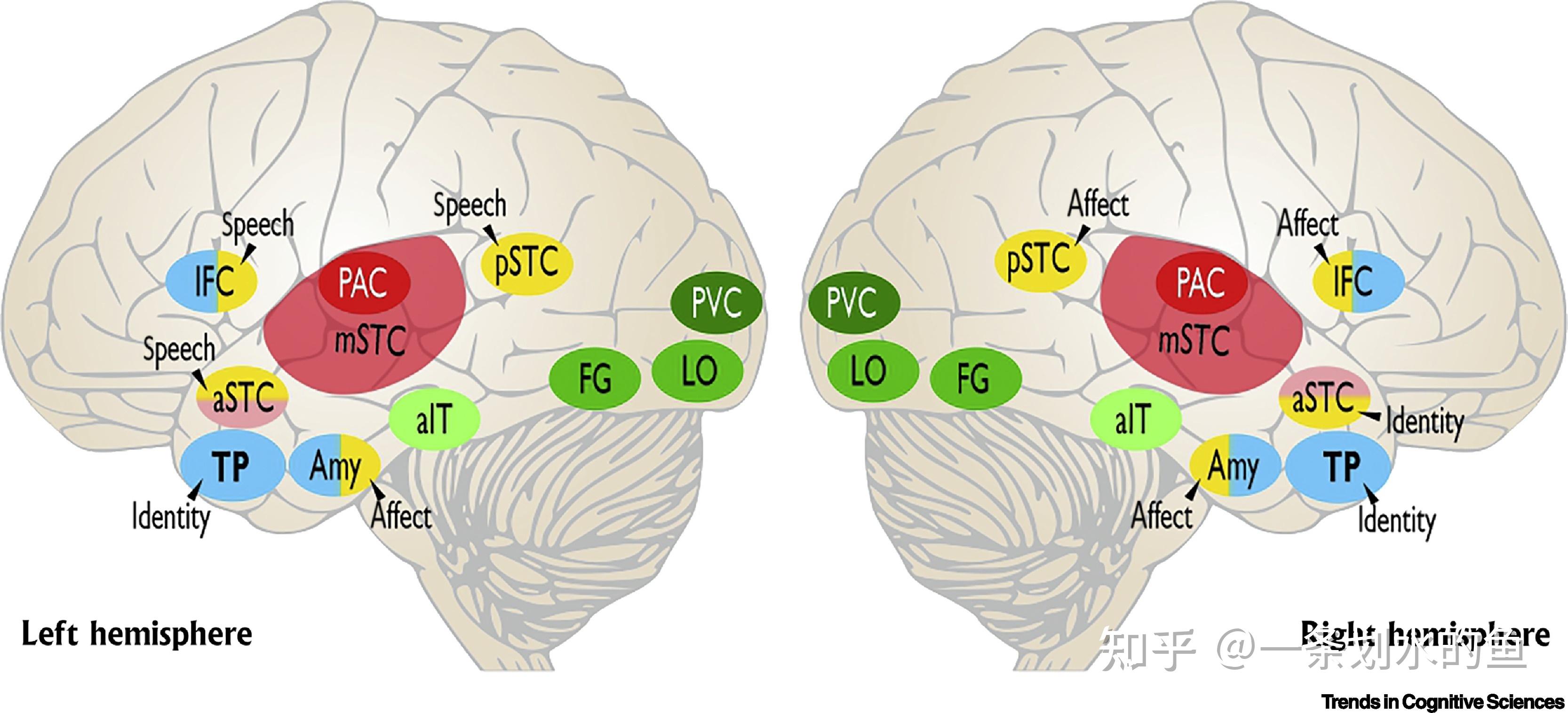 [认知科学|论文精读] CVPR2022 | Cross-Modal Perceptionist: Can Face Geometry be ...
