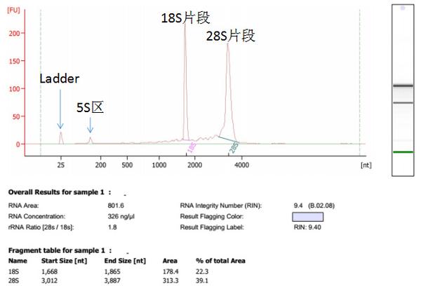 科普讲堂 | 高通量测序之(安捷伦)Agilent 2100生物分析仪 - 知乎