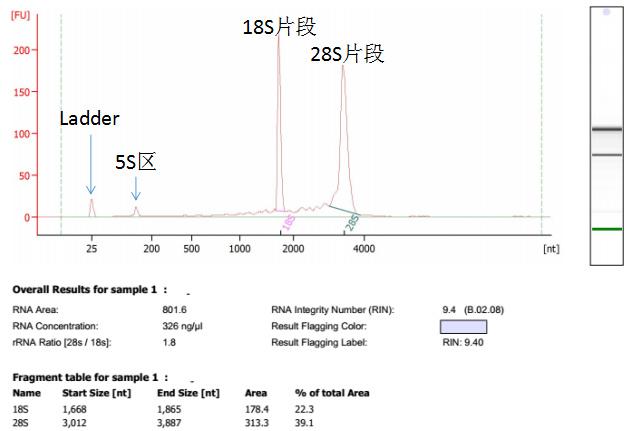 科普讲堂 | 高通量测序之(安捷伦)Agilent 2100生物分析仪 - 知乎