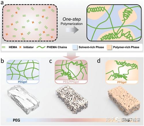 AFM:坚韧的PEGgels原位相分离用于4D打印 - 知乎